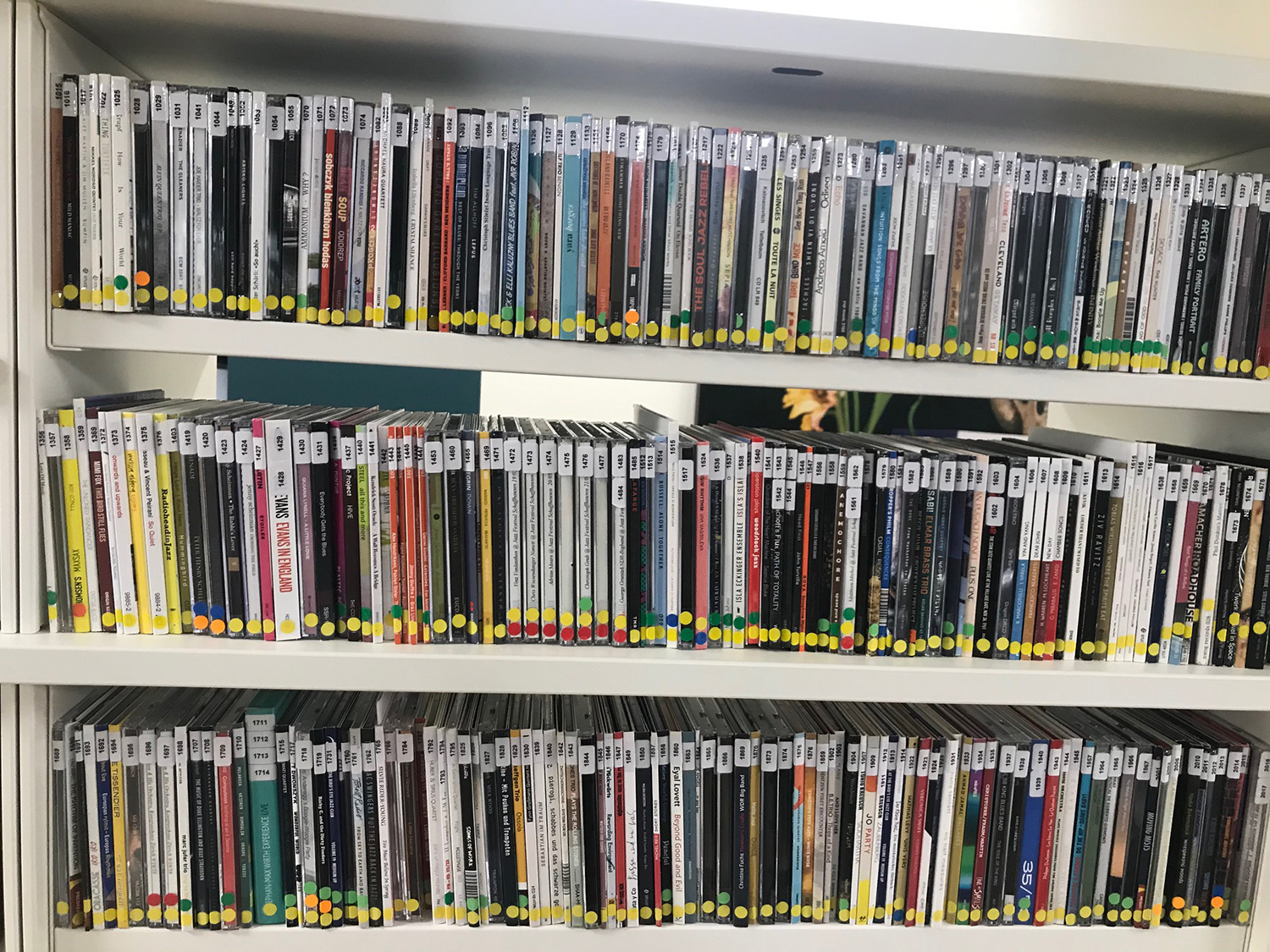 Rückblick auf den Stamm im neuen SRF-Studio Basel﻿ – SFJ AJS